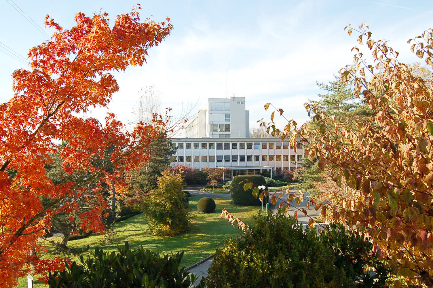 Givaudan set to acquire DDW, The Color House | Kennedy’s Confection